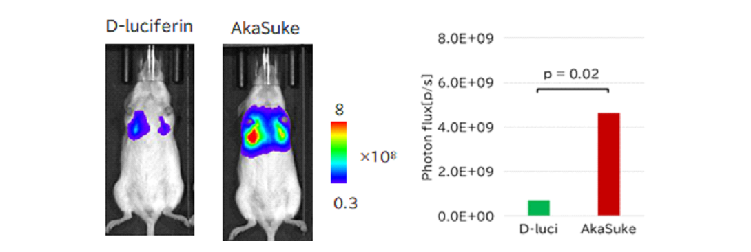 基質投与量が少量でも6倍以上の高輝度化を実現！ 近赤外発光680 nmイメージング材料『AkaSuke™』｜オープンイノベーション推進ポータル ...